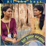 Coping with Stress during Midterms and Finals from A Pep Talk on the ...