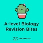 Link Reaction and Krebs Cycle - A level Biology from A-level Biology ...