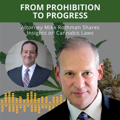 From Prohibition to Progress: Attorney Mike Rothman Shares Insight on ...