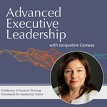 #70 FieldSense: A Practical Thinking Framework for Leadership Teams ...