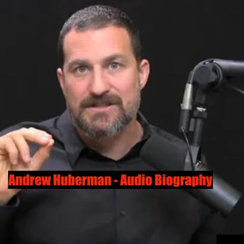 Huberman Says Sun Equals Testosterone from Andrew Huberman - Audio ...