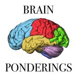 Pondering Schizophrenia, Maternal Health, and the Placenta with Daniel ...