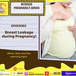 #09-BITESIZE-PREGNANCY SERIES-Breast Leakage during Pregnancy from ...