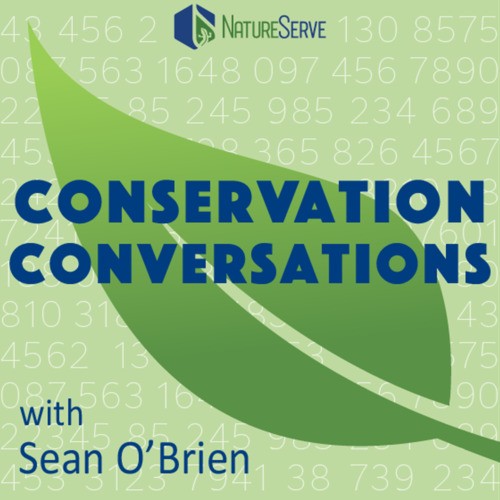 S4 Ep2: Caroline Van Hemert: Art, Science, and Adventure from Conservation Conversations with ...