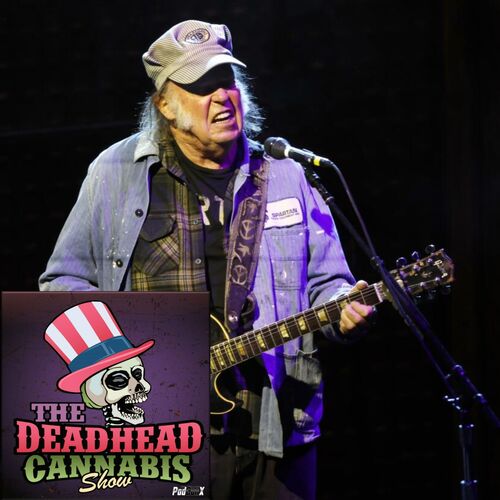 Neil Young's 2024 Tour with Crazy Horse: A Legendary Performance from ...