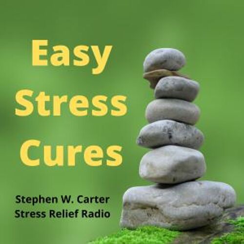 Learn the Most Cost Effective Mental Wellbeing Practice from Easy ...