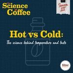 Hot vs Cold: The science behind temperature and taste from Filter ...