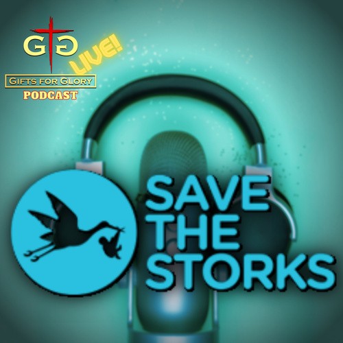 Dave Shares Save the Storks from Gifts for Glory Podcast - Listen on ...