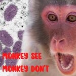 Ep. #494: MONKEY SEE MONKEY DON’T from Into The Parabnormal with Jeremy ...