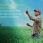 ¿El Internet de las Plantas? from Libreta de Apuntes Noticias - Listen ...