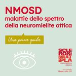 NMOSD, una prima guida - Puntata 1, cause e sintomi from AINMO ...