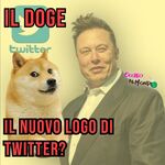 La storia dietro Doge, il nuovo logo di Twitter from Occhio al mondo ...