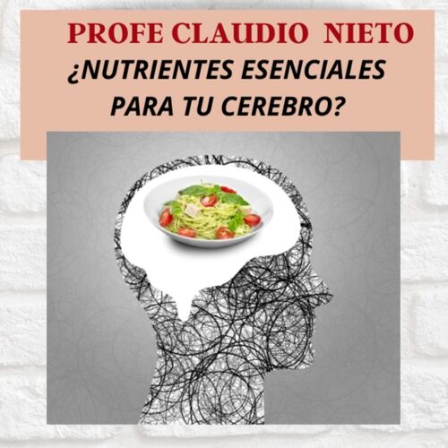 96. La PARADOJA del azúcar en el CEREBRO y los nutrientes ESENCIALES ...