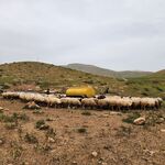 6 | Liquidation | Meira Asher from RadioActive - on Water - Listen on ...