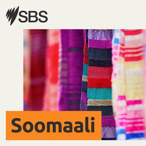 SBS News Somali: Warka Arbaco 4 March 2026 from SBS Somali - SBS ...