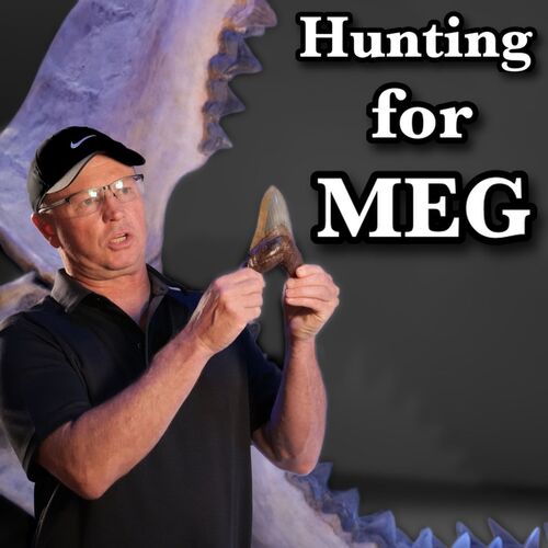 Hunting Megalodon teeth, an interview with Meg diver, John "JT" Taylor ...