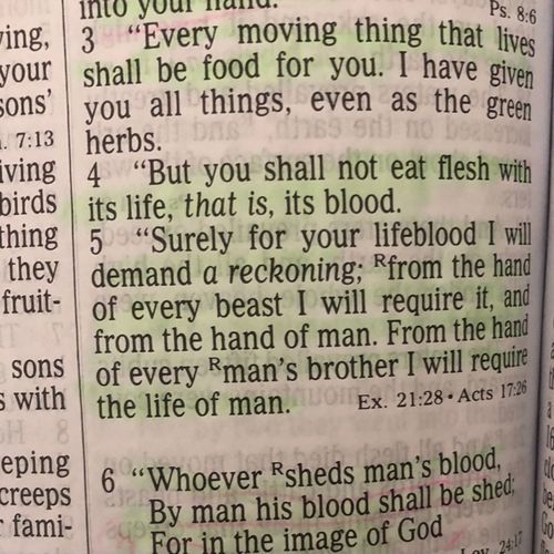 Blood is Heavy from Simple Man Sermons - Whole Bible Believing - Listen ...