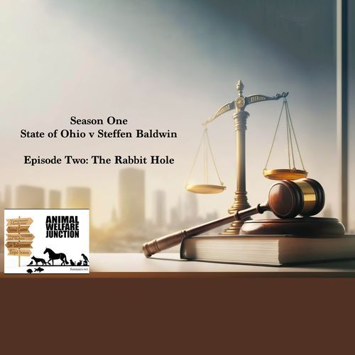 Season 1: State vs Steffen Baldwin / Episode 2: The Rabbit Hole from ...