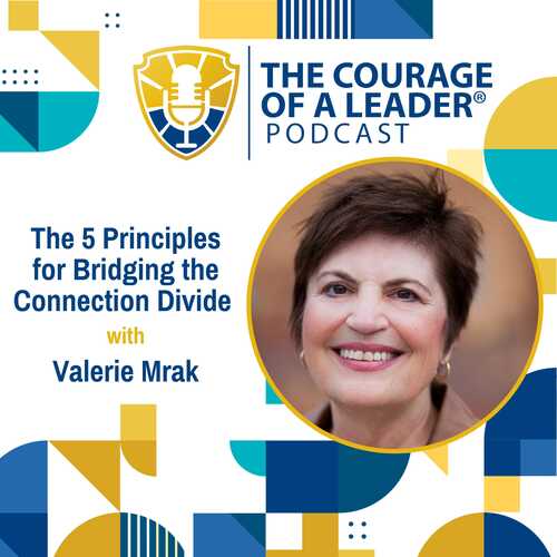The 5 Principles for Bridging the Connection Divide | Valerie Mrak from ...