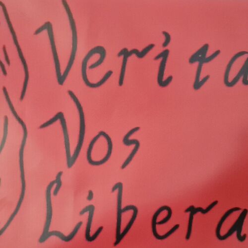 Freedom Fighters Part 2 after chatting to Dr Sandra Lean from The Fly ...