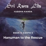 Sri Rama Lila: Episode 26 | Book 6, Canto 5 | Hanuman to the Rescue ...