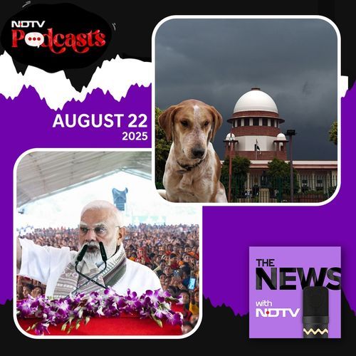The News Ep300: SC Ruling On Stray Dogs, Sc On Bihar Voter List, PM’s ...