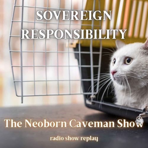 Sovereign Responsibility (radio show replay) from The Neoborn Caveman ...