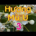 Hương Mù U Tập #3 - Truyện dài của Chu Sa Lan #161 from Trò Chuyện Đêm Khuya - Listen on JioSaavn